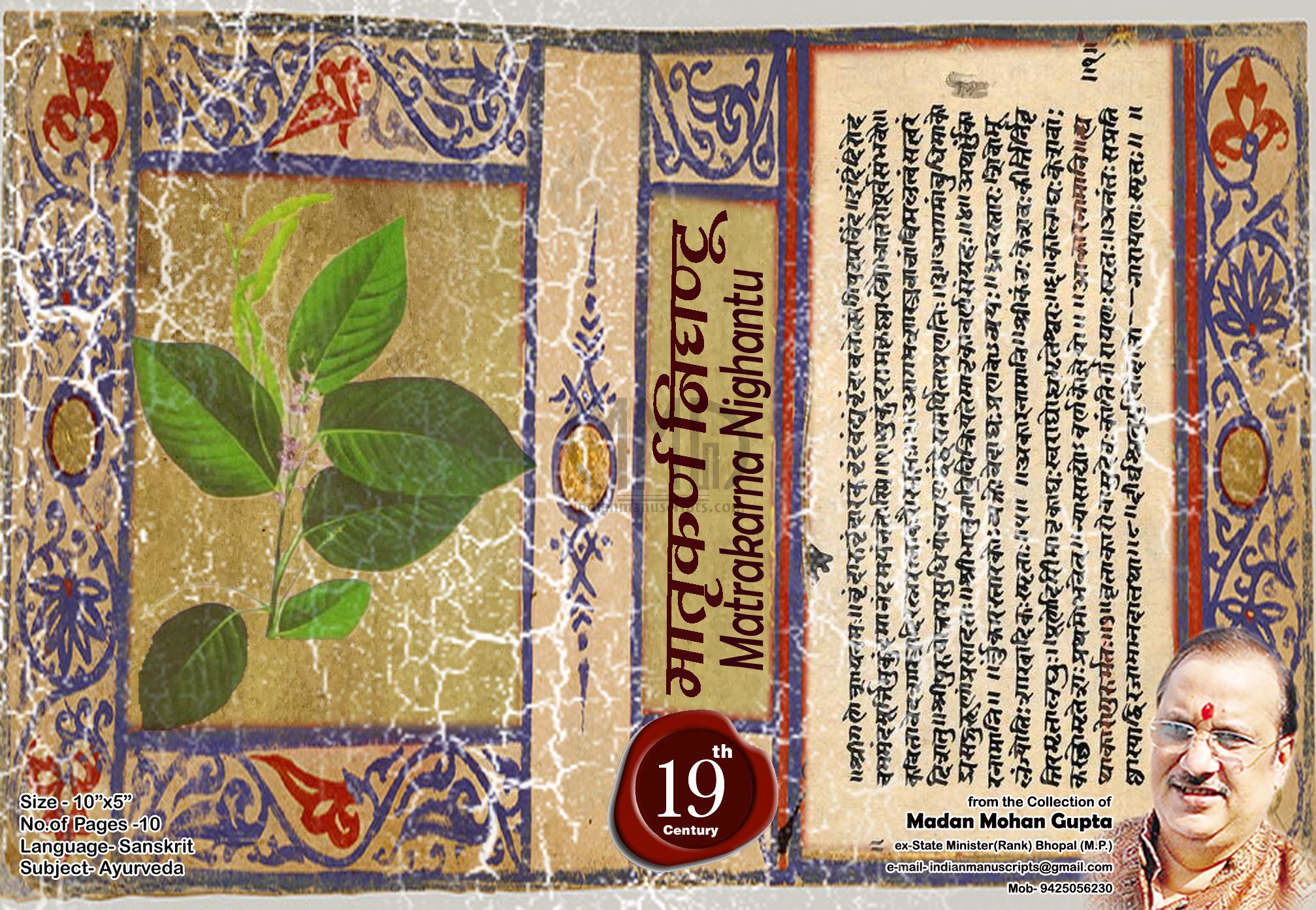 Matrakarna Nighantu | IndianManuscripts.com